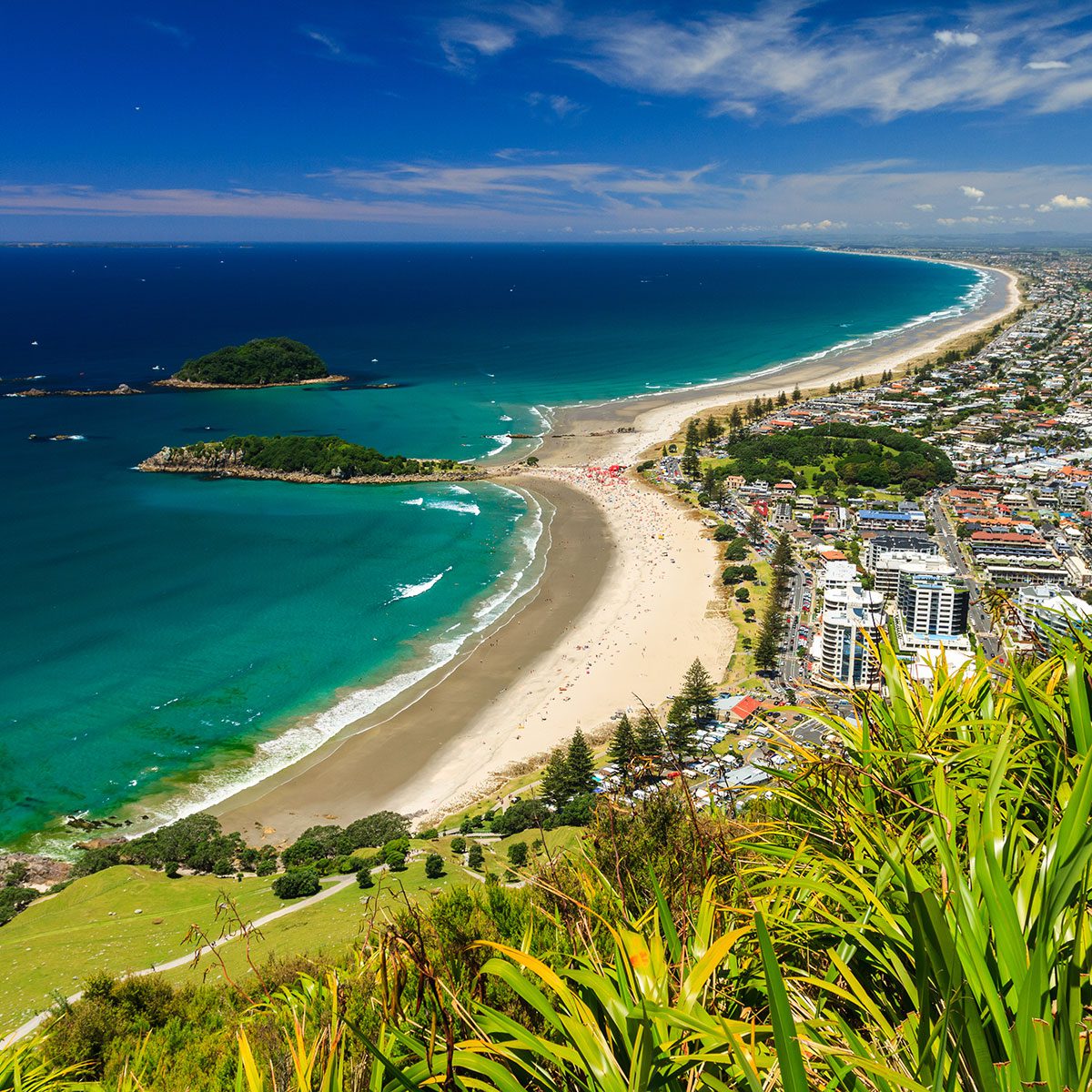 Why Buy a Business in the Bay of Plenty? | LINK Business Brokers New ...
